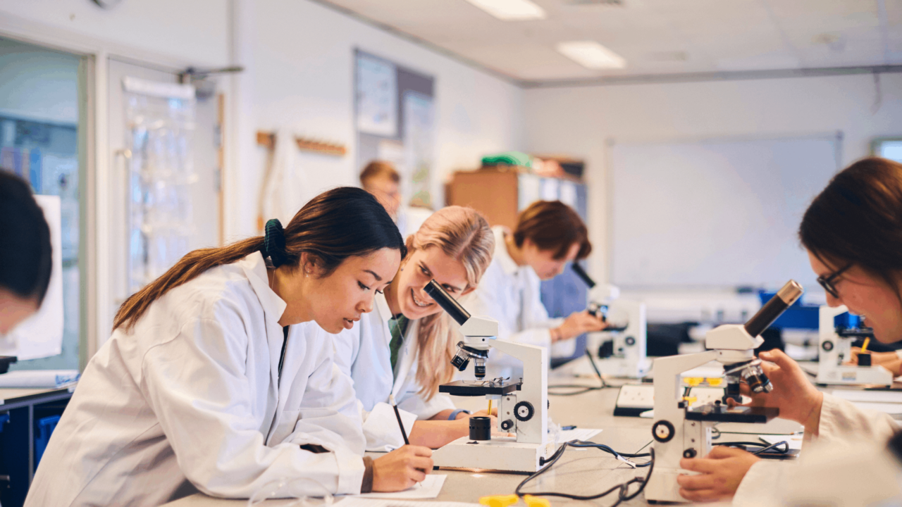 Starting in September | Worthing College